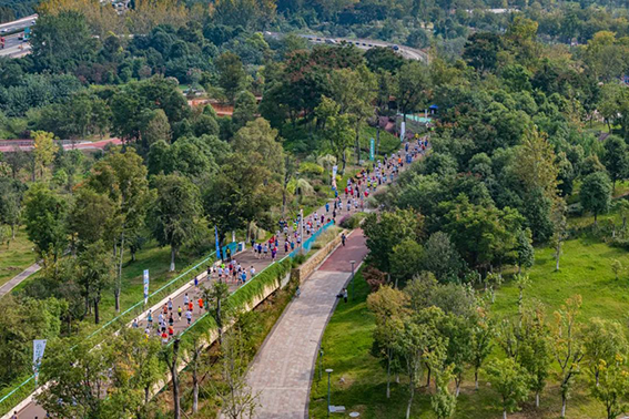 3.76 Million Participants, 5113 Tons of Green Energy Chengdu Marathon's ...